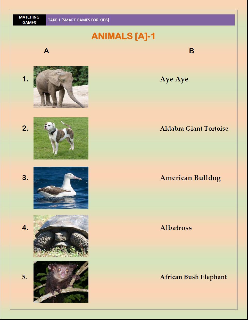 GAMES: MATCHING TYPE GAMES